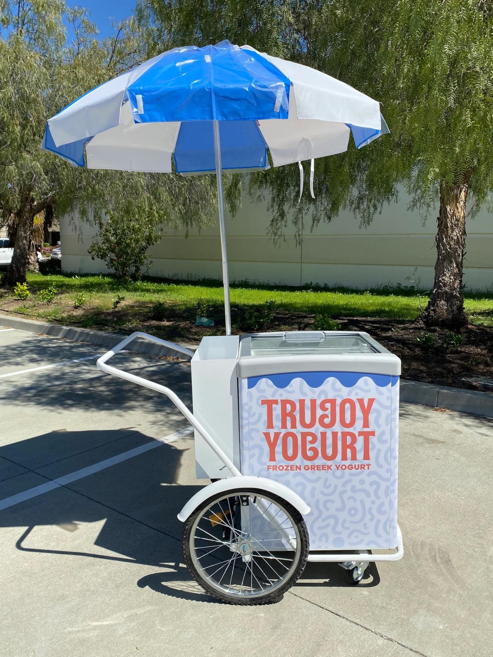 ICE CREAM ELECTRIC Cart Electric Gelato Cart Frozen Treats Street Cart ...