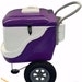 COMPACT PALETA CART Ice Cream Cart Popsicles Cart Paleta Mobile Cart ...