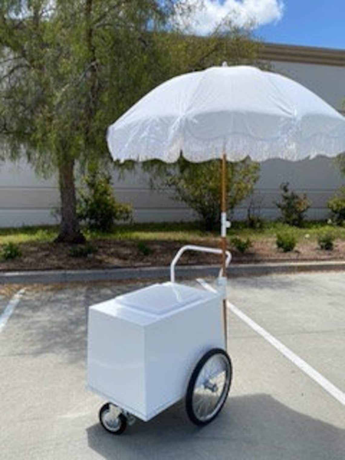 PALETA MOBILE CART Paleta Push Cart Beverages Cart Popsicles Cart Pops ...
