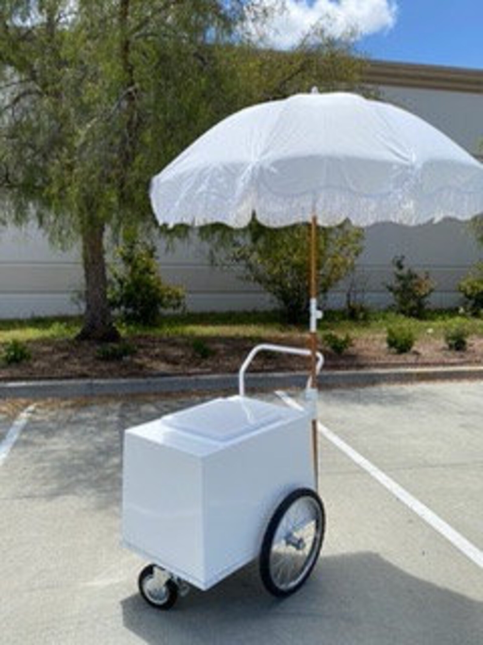 PALETA MOBILE CART Paleta Push Cart Beverages Cart Popsicles Cart Pops ...