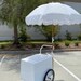 PALETA MOBILE CART Paleta Push Cart Beverages Cart Popsicles Cart Pops ...