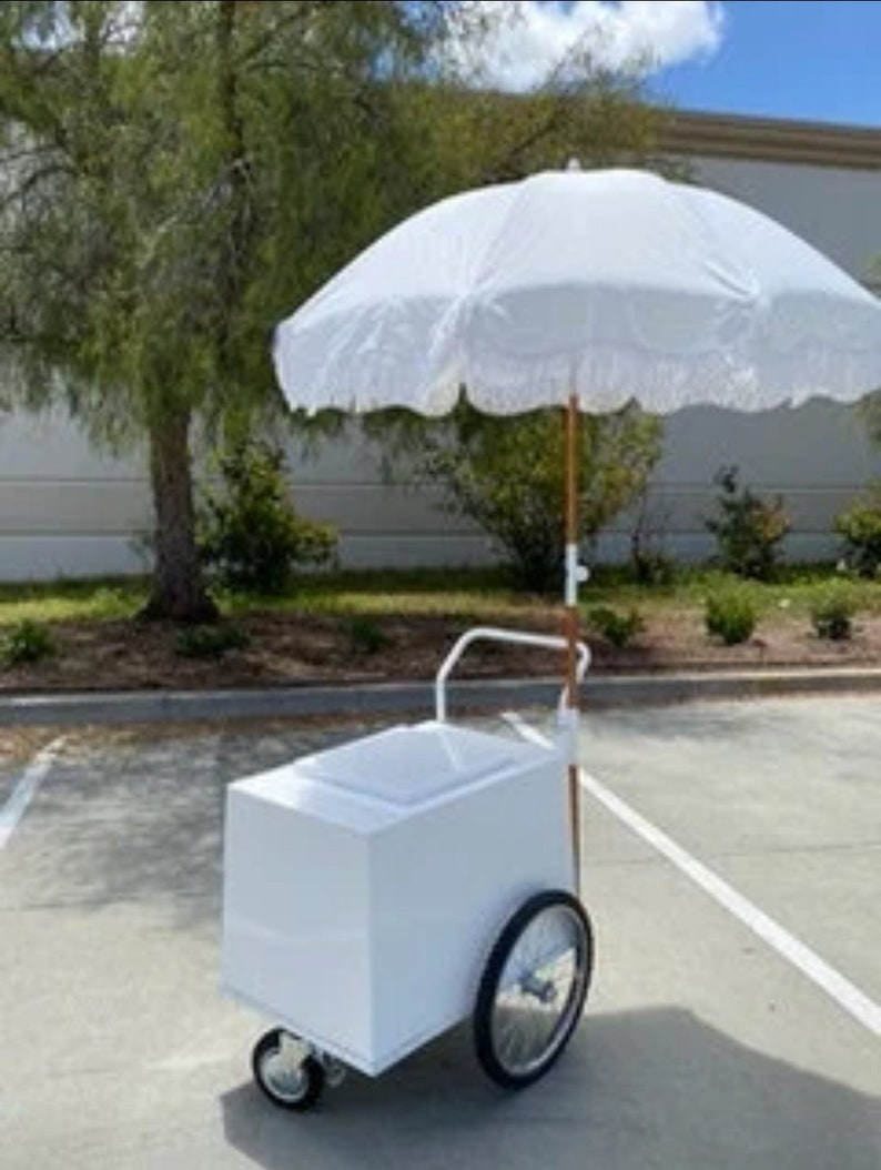 PALETA MOBILE CART Paleta Push Cart Beverages Cart Popsicles Cart Pops ...