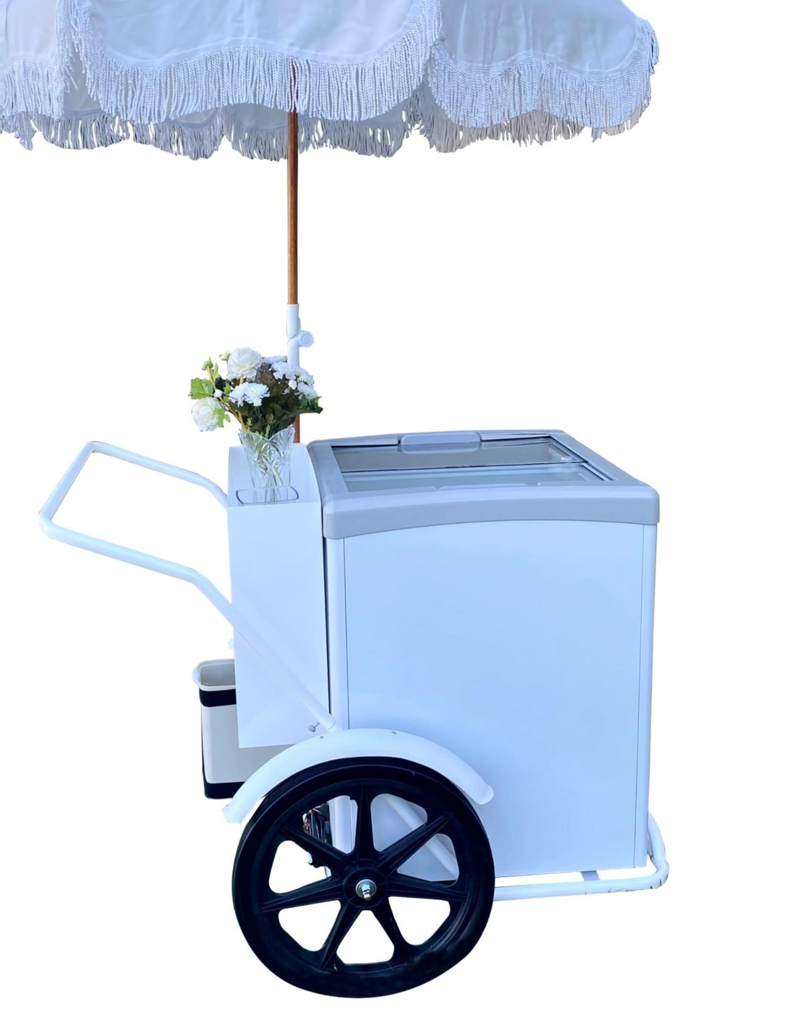 ICE CREAM ELECTRIC Cart Electric Gelato Cart Frozen Treats Street Cart ...