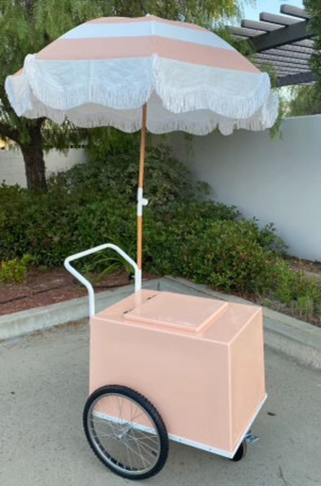PALETA MOBILE CART Peach Push Cart Beverages Cart Popsicles Cart Pops ...