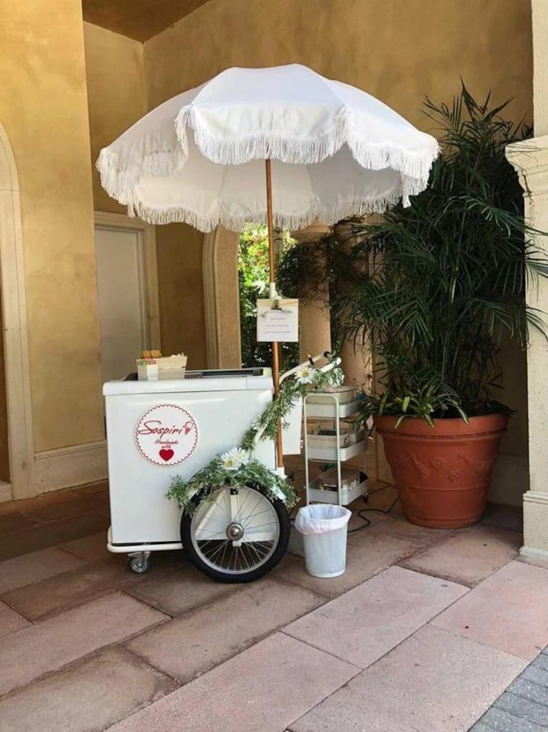 ICE CREAM ELECTRIC Cart Electric Gelato Cart Frozen Treats Street Cart ...
