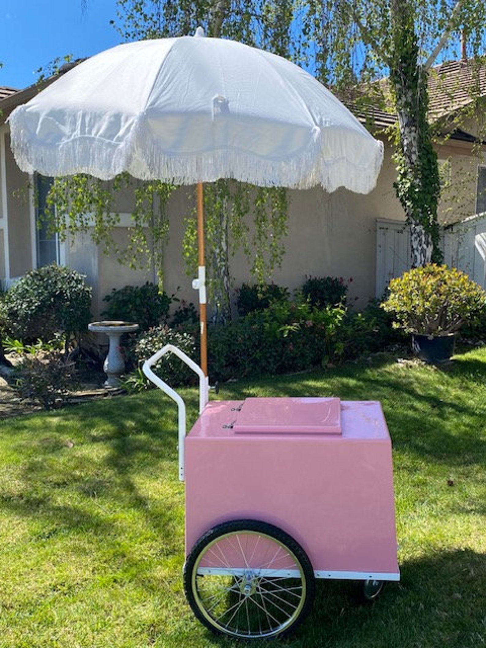 PALETA MOBILE CART Paleta Push Cart Beverages Cart Popsicles Cart Pops ...