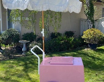 PALETA MOBILE CART Paleta Push Cart Beverages Cart Popsicles Cart Pops ...