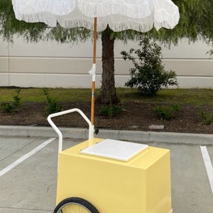 PALETA MOBILE CART Paleta Push Cart Beverages Cart Popsicles Cart Pops ...