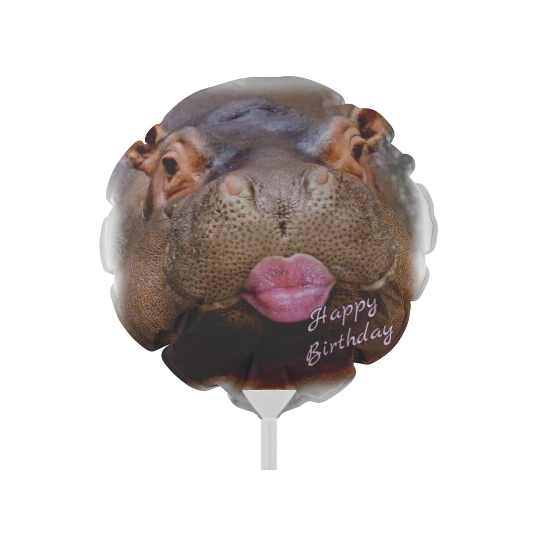 Funny Birthday Balloon, 11in, 7in, Happy Birthday Hippo Balloon, Funny ...