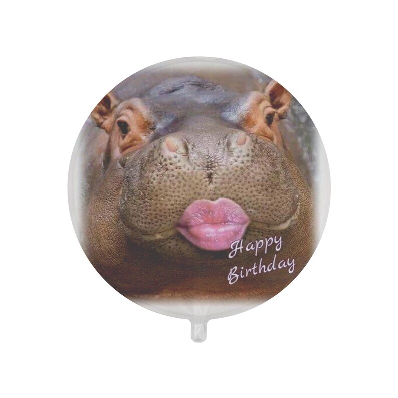Funny Birthday Balloon, 11in, 7in, Happy Birthday Hippo Balloon, Funny ...