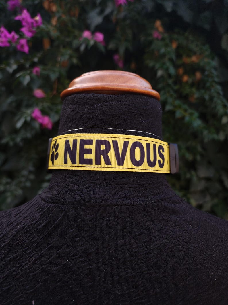 Pet Regression/play Collar - "nervous" - Etsy
