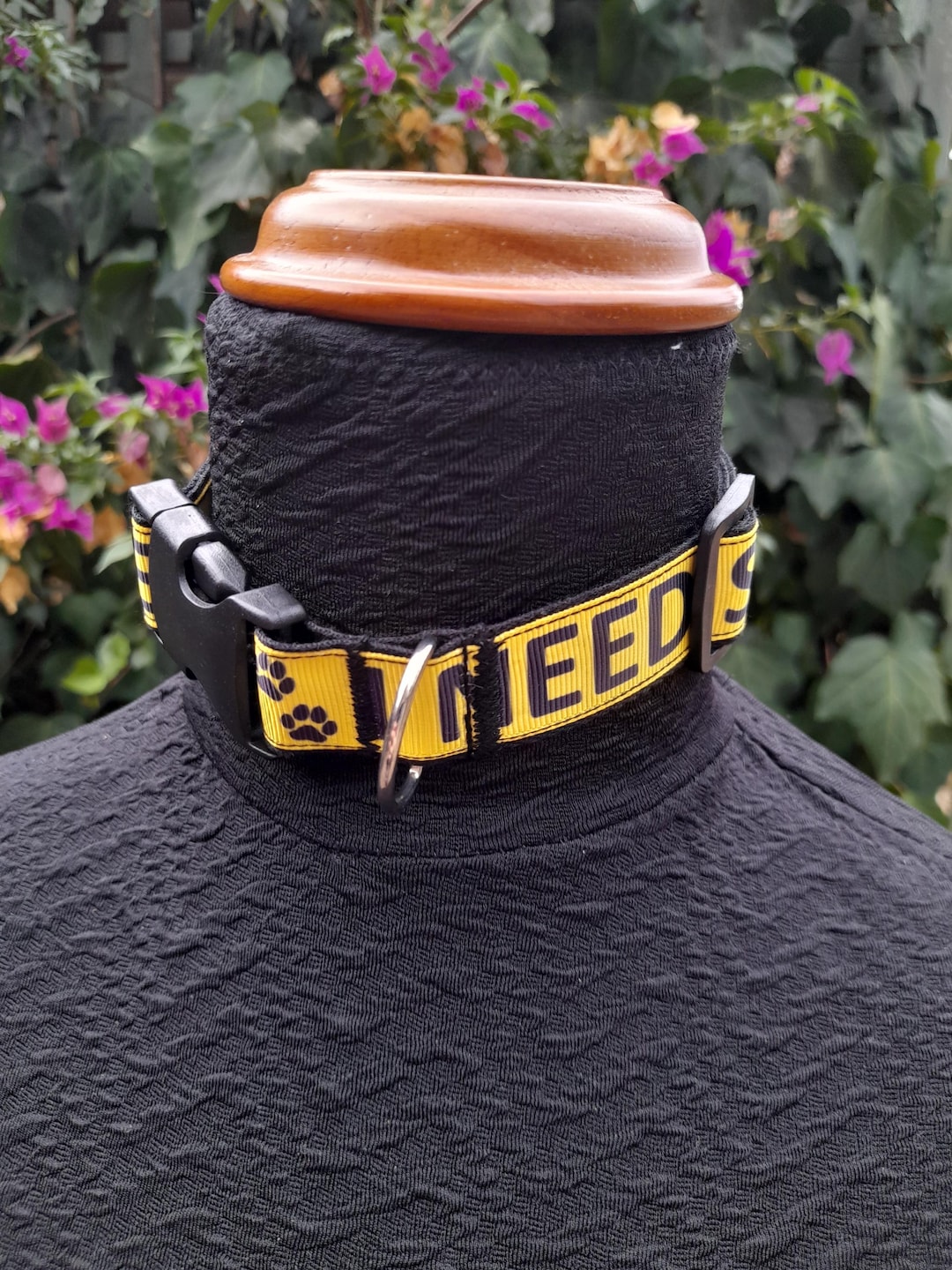 Pet Regression/play Collar - "i NEED Space" (4 Colour Options) - Etsy