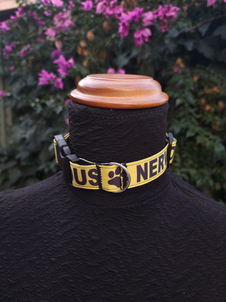 Pet Regression/play Collar - "nervous" - Etsy
