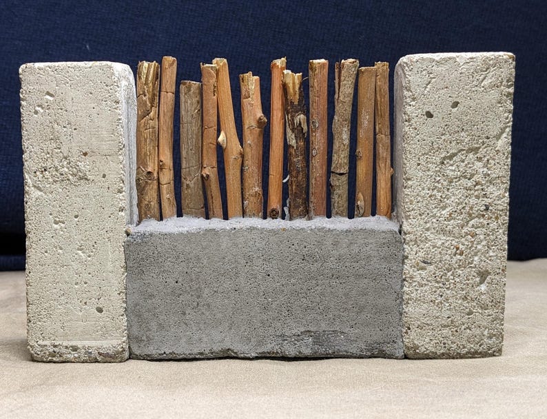 GRAY COYOTE WALL. Concrete Sculpture W/ Rosebush Twigs for Home/office ...