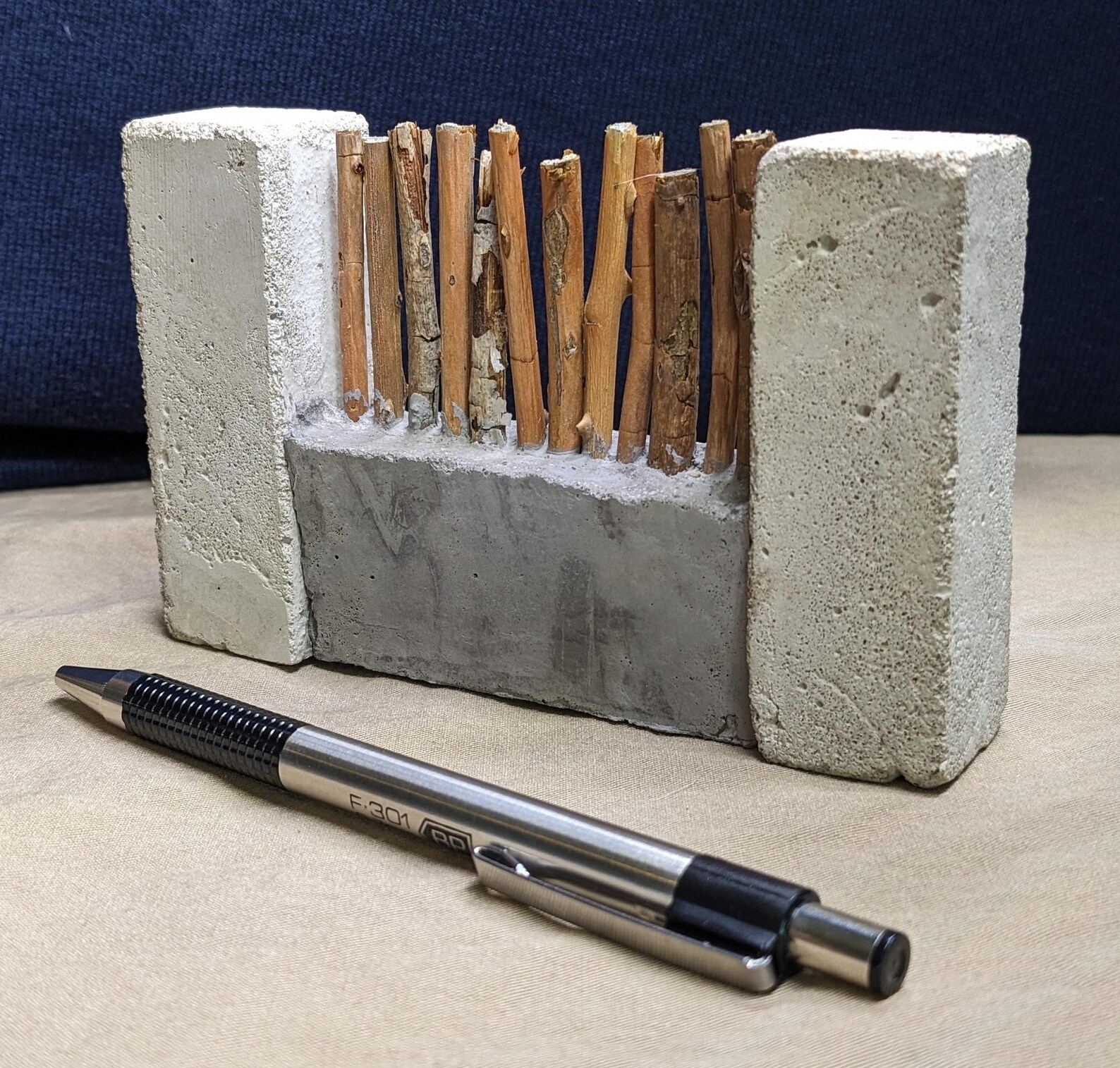 GRAY COYOTE WALL. Concrete Sculpture W/ Rosebush Twigs for Home/office ...