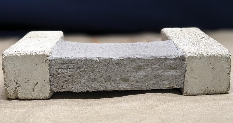 GRAY COYOTE WALL. Concrete Sculpture W/ Rosebush Twigs for Home/office ...