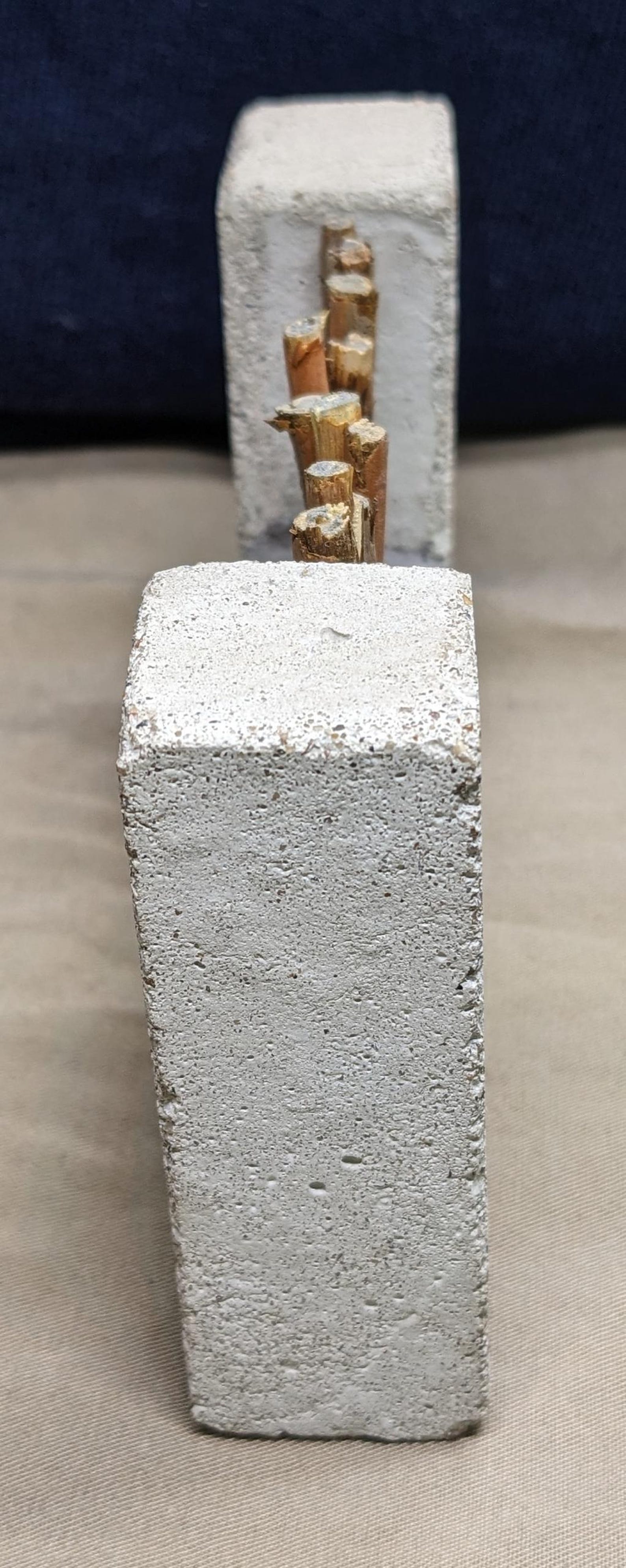 GRAY COYOTE WALL. Concrete Sculpture W/ Rosebush Twigs for Home/office ...