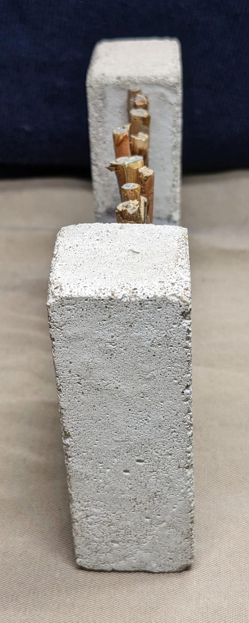 GRAY COYOTE WALL. Concrete Sculpture W/ Rosebush Twigs for Home/office ...