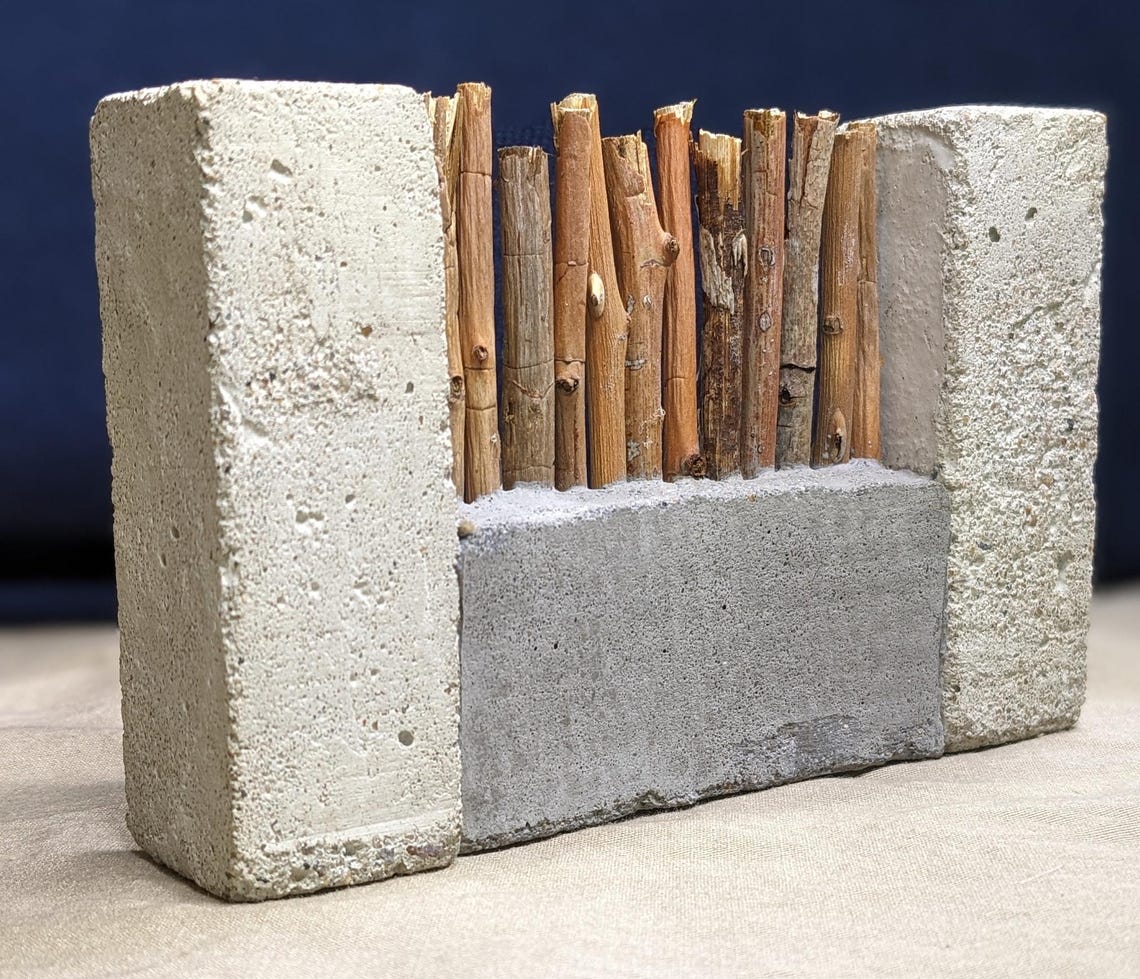 GRAY COYOTE WALL. Concrete Sculpture W/ Rosebush Twigs for Home/office ...