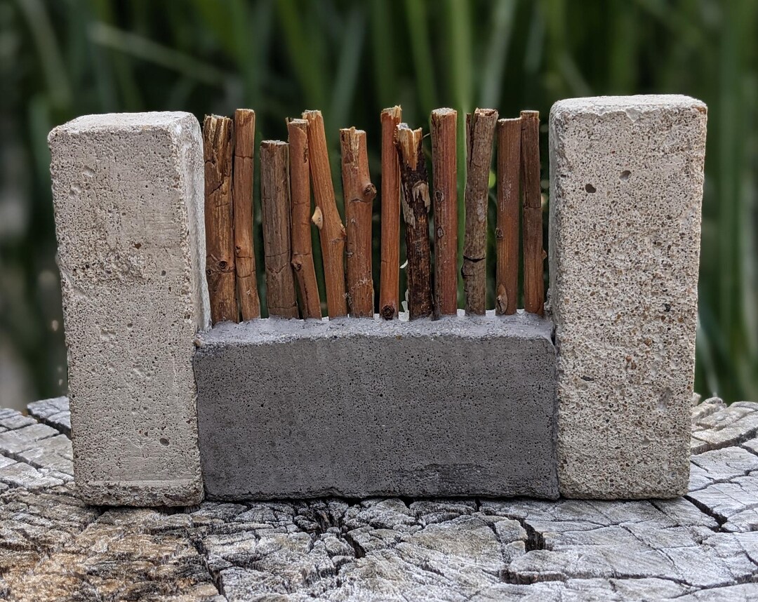 GRAY COYOTE WALL. Concrete Sculpture W/ Rosebush Twigs for Home/office ...