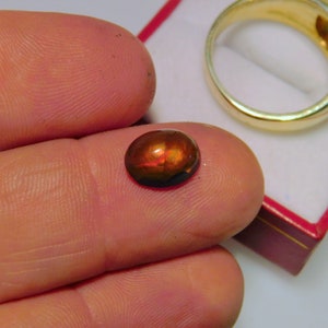 AAAA Imperial Fire Agate From Mexico 11x8.4mm 3.69 Carats in Heavy 14K ...