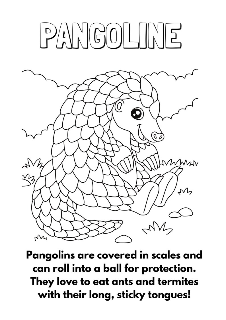 Wild Animals Coloring Book for Children - Etsy