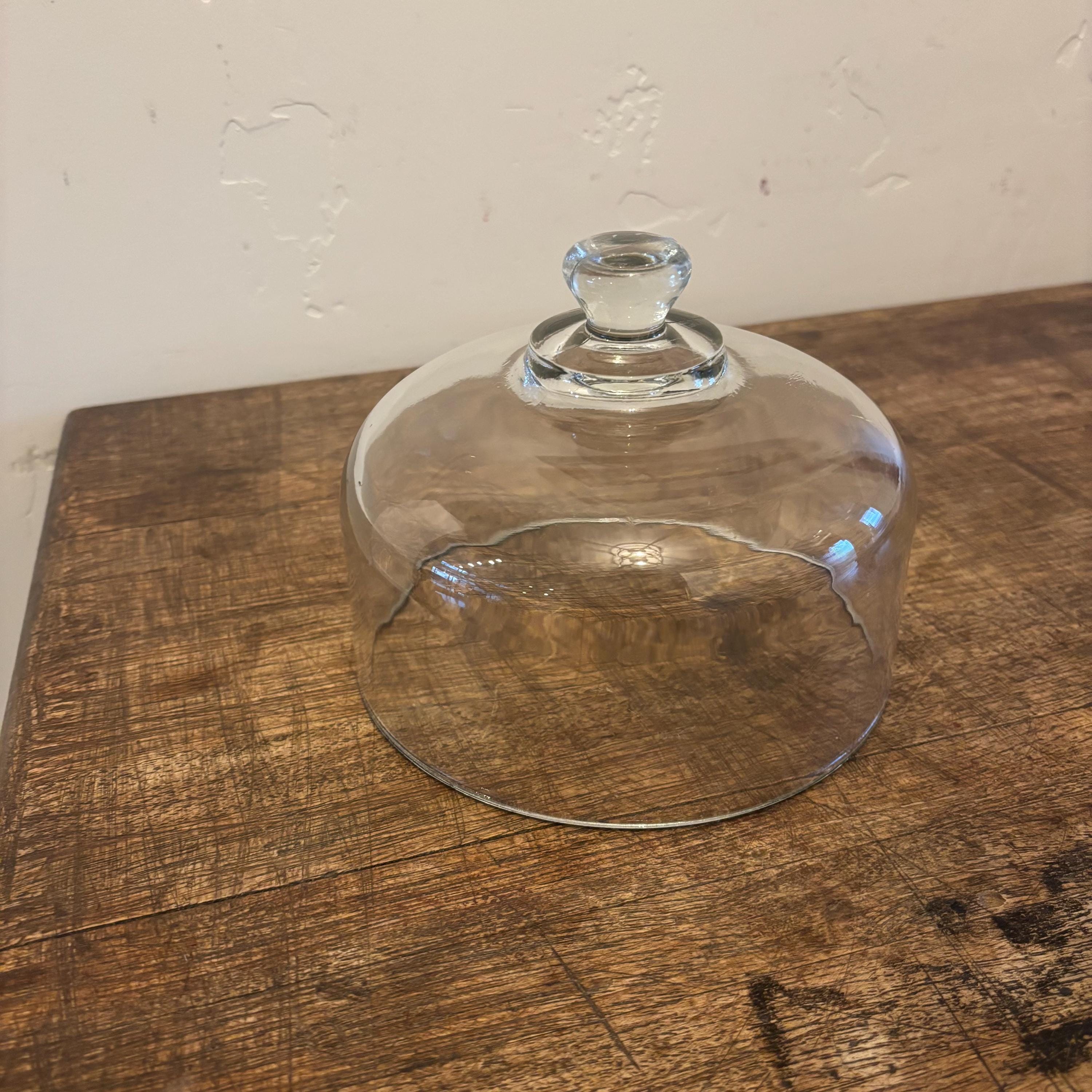 Glass Cloche Dome Bell Jar - Etsy