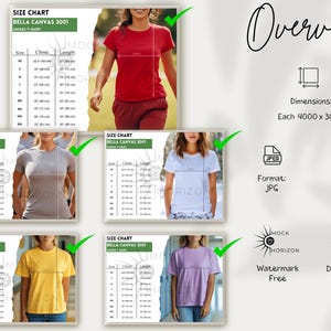 Size Chart Bella Canvas 3001, Women Size Chart Lifestyle White, Size ...