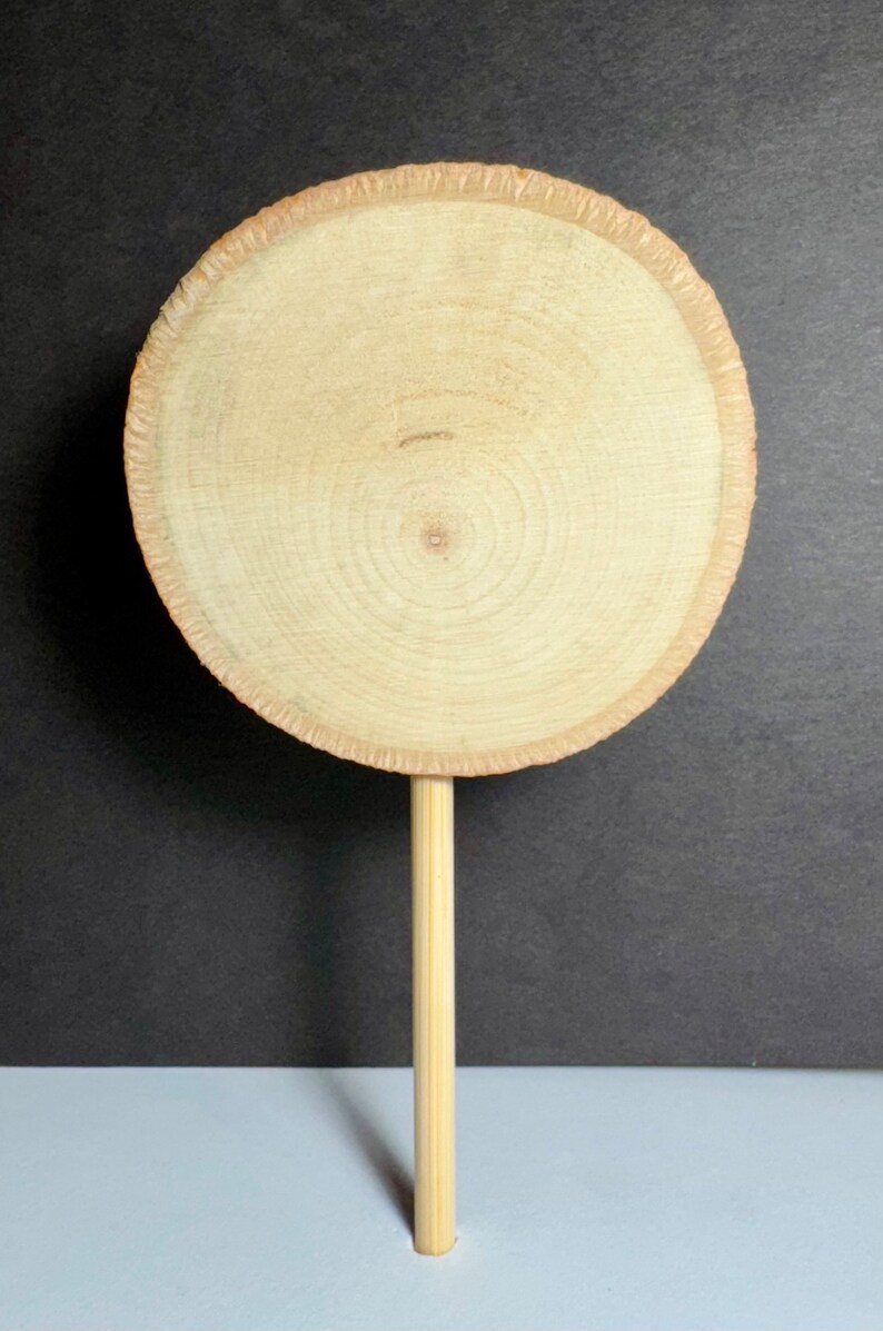 Cake Topper, Hand-painted Cake Topper, Wooden Topper, Wood Slice Cake ...