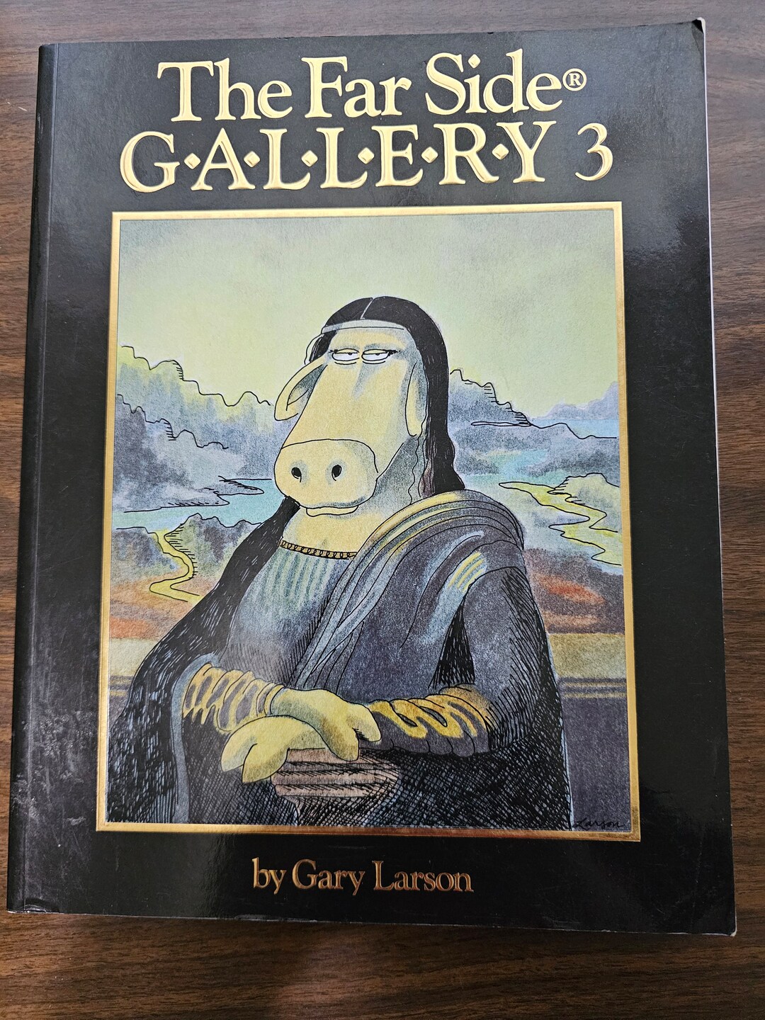 The Far Side Gallery Book - Etsy