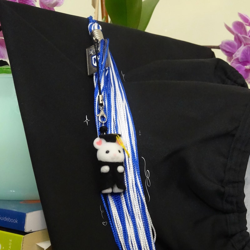 Graduation Figure Animal - Etsy UK