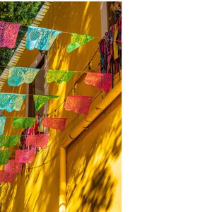 PLASTIC Hispanic Decoration Birthday Party Garland Decorative Fiesta ...