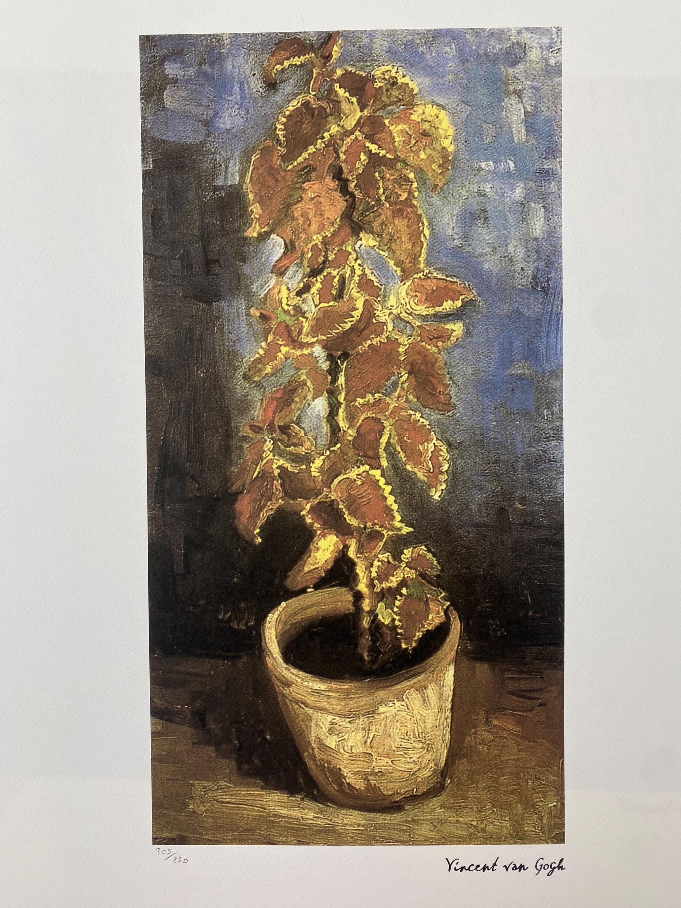 Vincent Van Gogh coleus Plant in a Flowerpot,1886 Lithograph ...