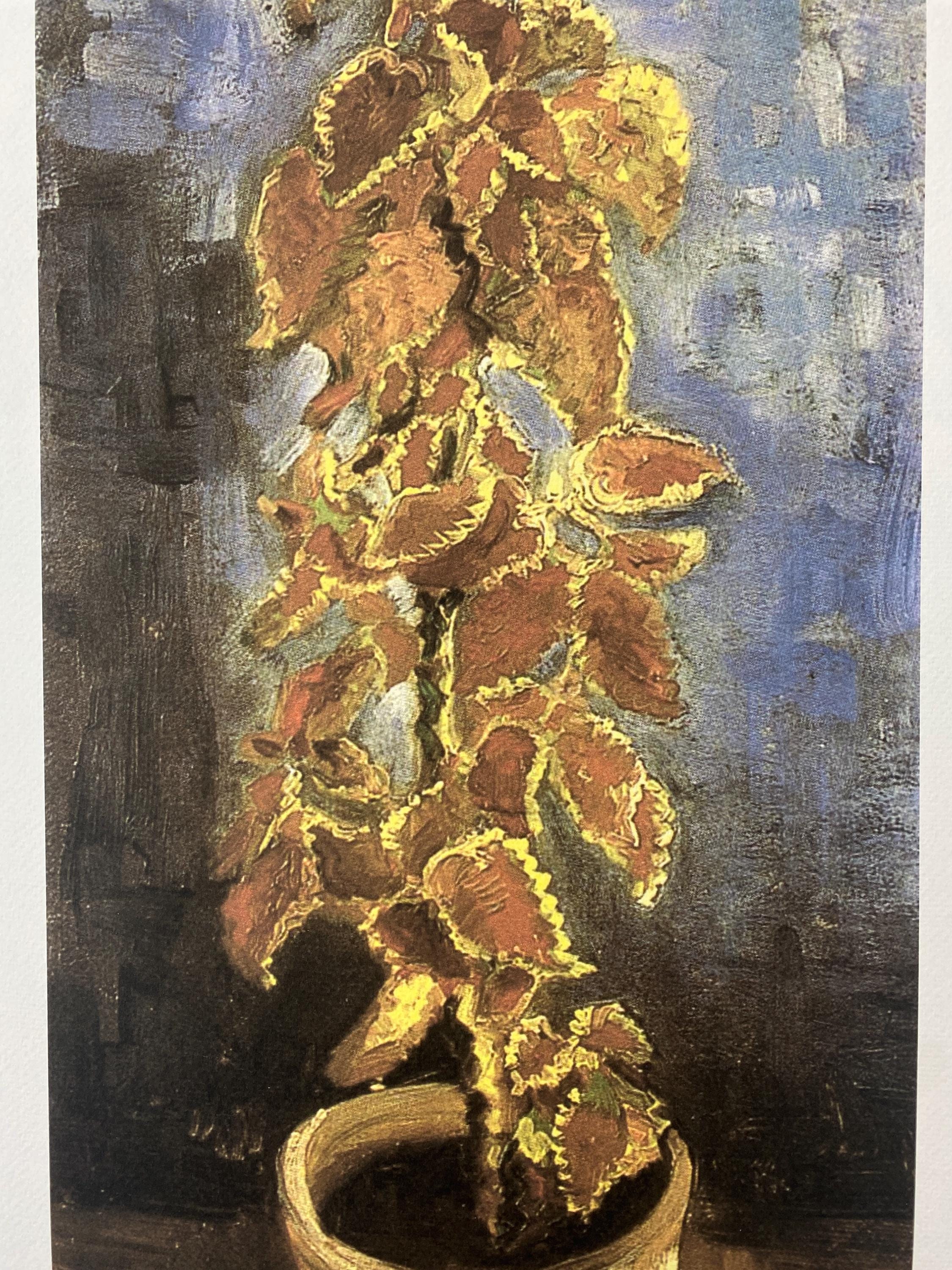 Vincent Van Gogh coleus Plant in a Flowerpot,1886 Lithograph ...