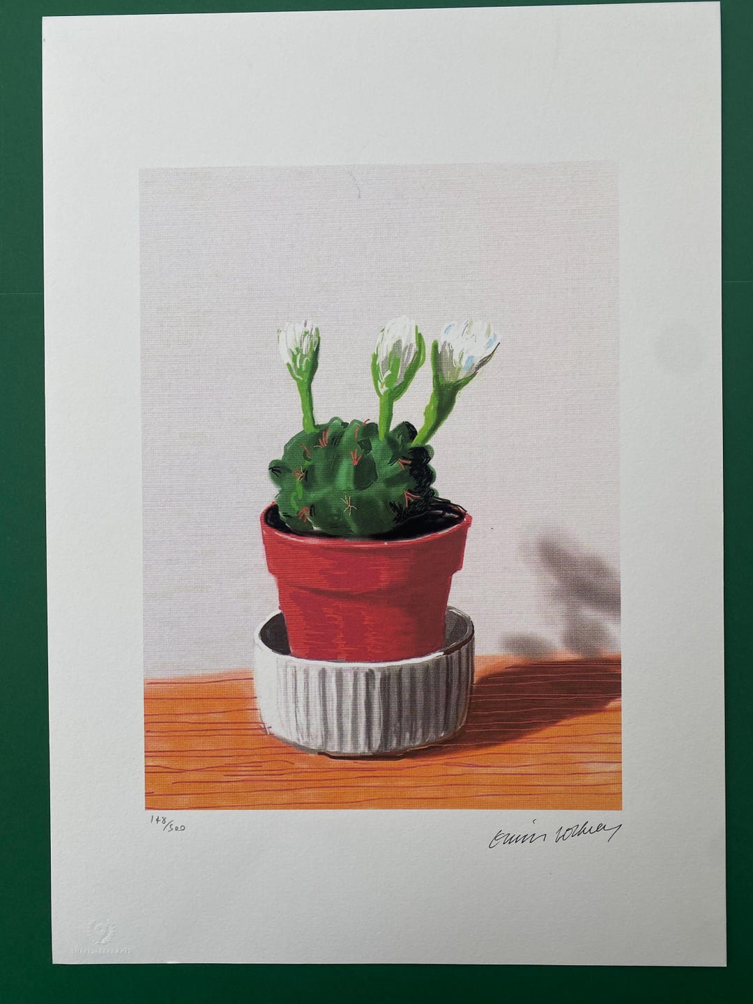 David Hockney "cactus " Lithograph, Certificate, Signed, Top! Wall Art ...