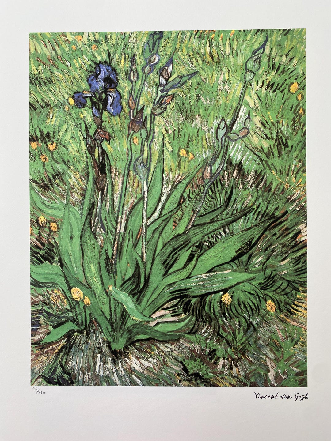 Vincent Van Gogh the Iris,1889 Lithograph, Certificate, Signed, Top ...