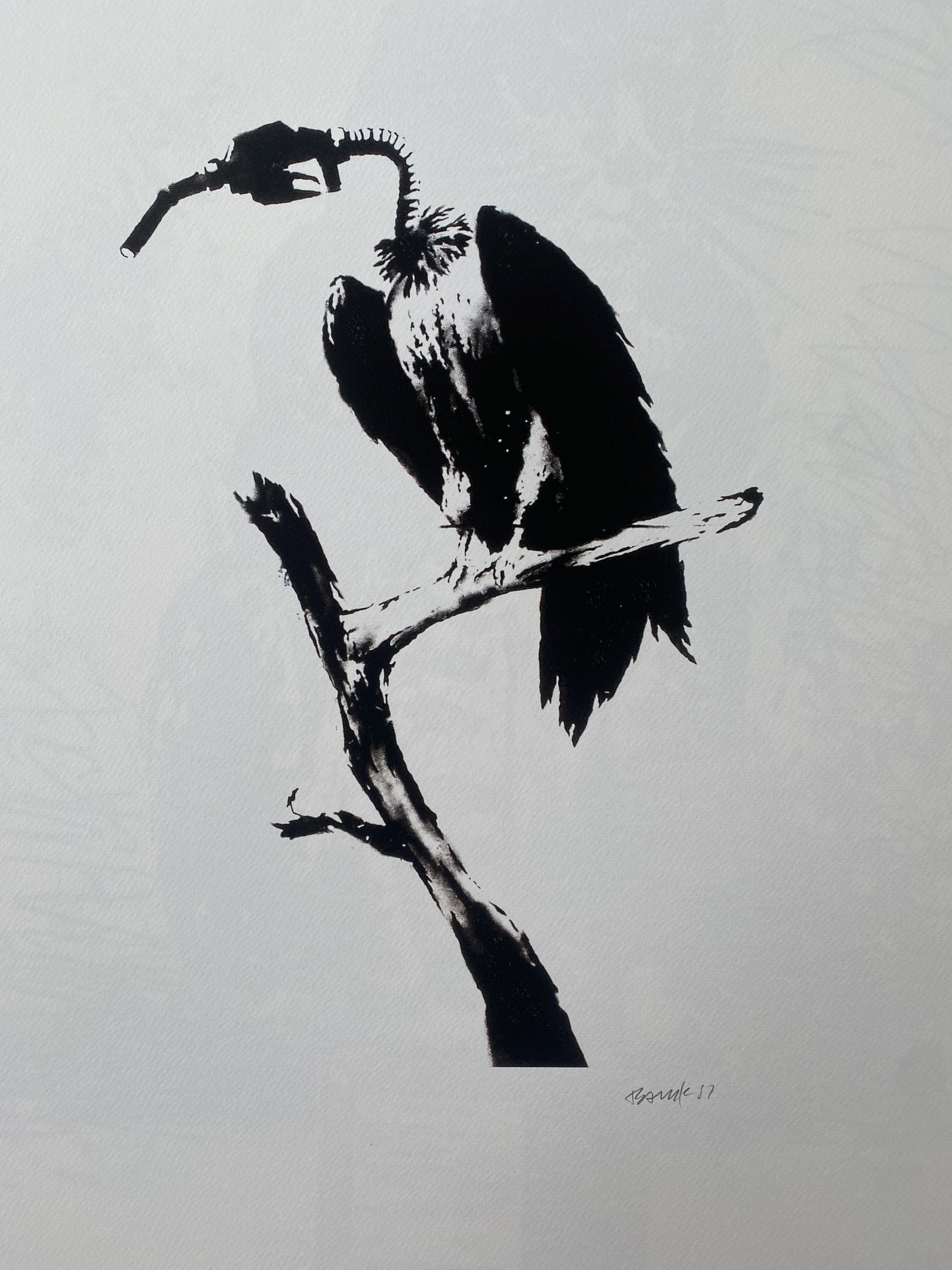 Banksy "bird With Grenade " Lithograph, Certificate, Signed, Top! Wall ...