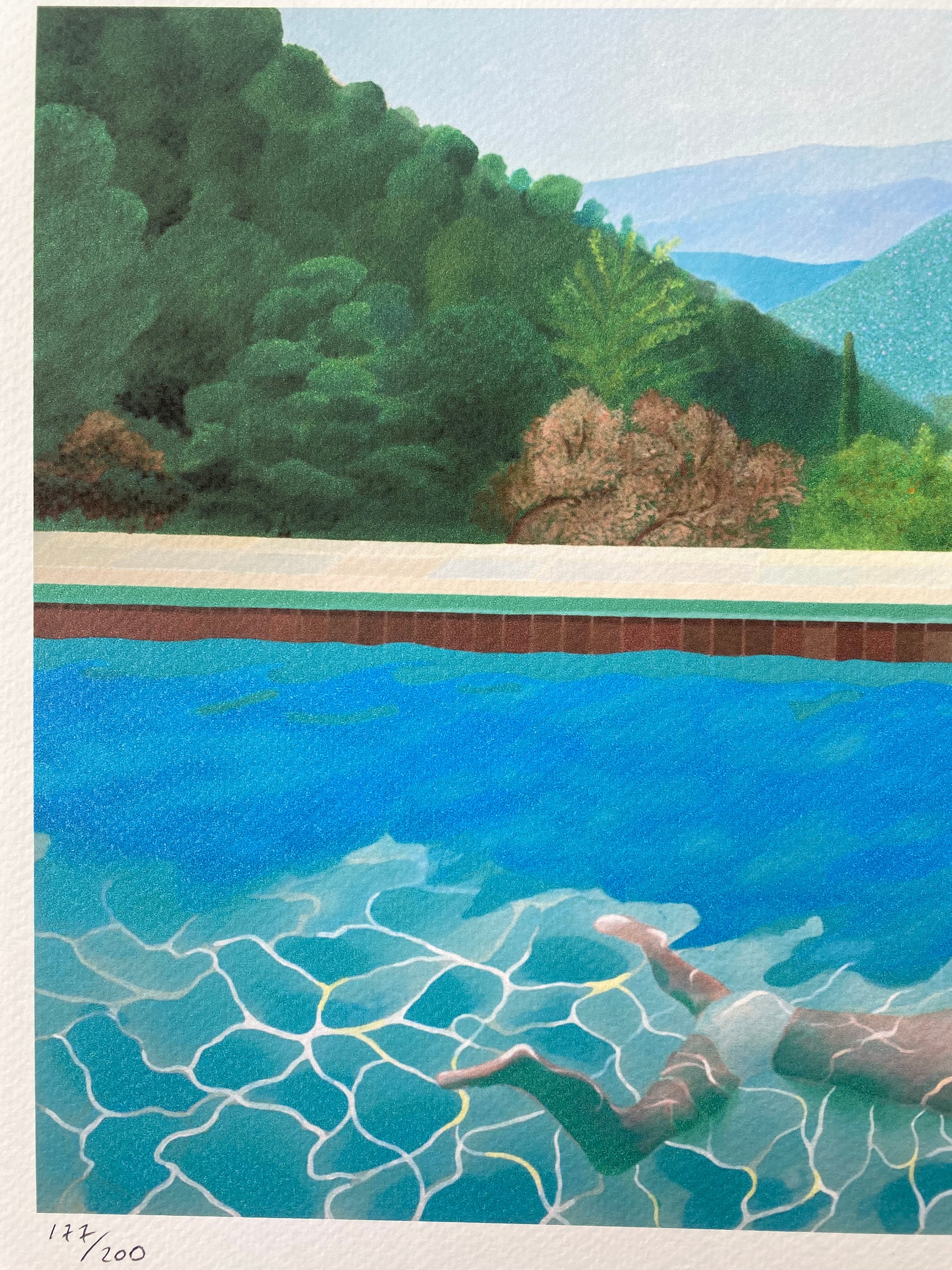 David Hockney "pool With Two Figures " Lithograph, Certificate, Signed ...