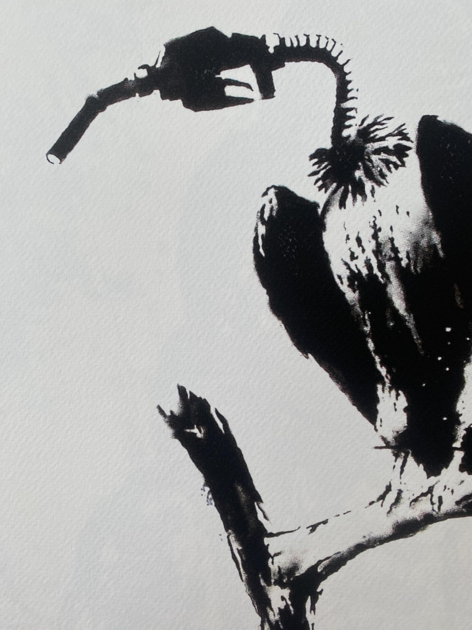 Banksy "bird With Grenade " Lithograph, Certificate, Signed, Top! Wall ...