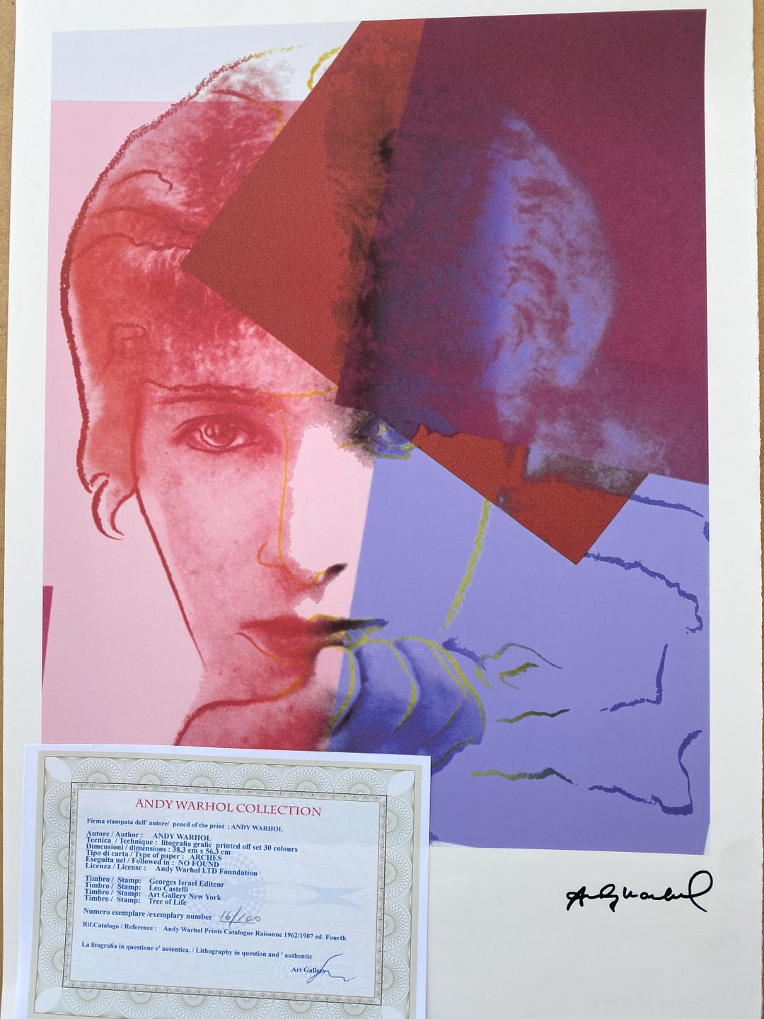 Andy Warhol "sarah Bernhardt,1990 " Lithograph, Certificate, Signed, Top! Wall Art, Pop Art ...