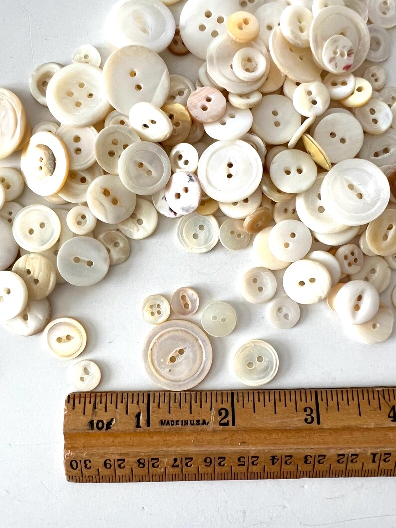 200+ Assorted Shell Buttons, Large and Small Natural Shell - Etsy