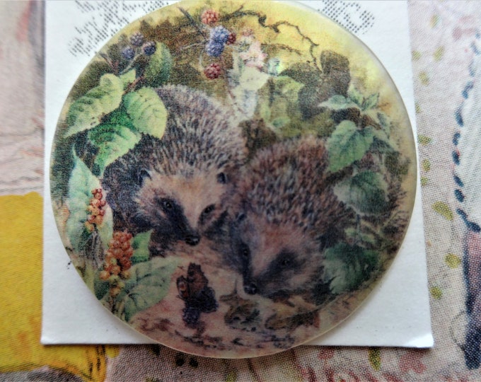 Susan Clark Original, Hedgehogs Large, Decorative Button, Gorgeous ...