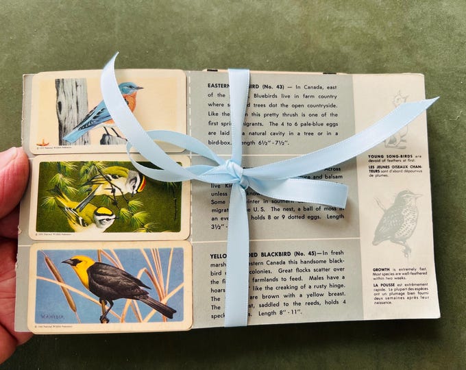 Vintage National Wildlife Federation Bird Identification Cards, 30 Full ...