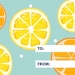 Printable Citrus Themed Gift Tags - Etsy