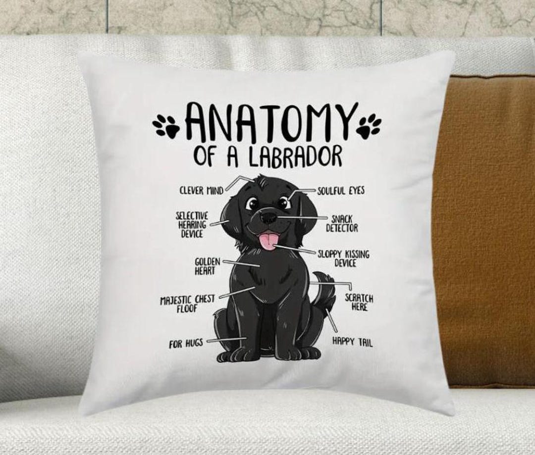 Black Lab Pillow, Lab Pillow Case, Dog Pillow Case, Black Lab Decor ...