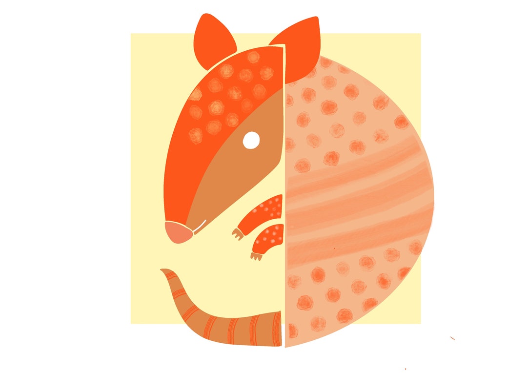 Print Your Own POSTER Armadillo - Etsy