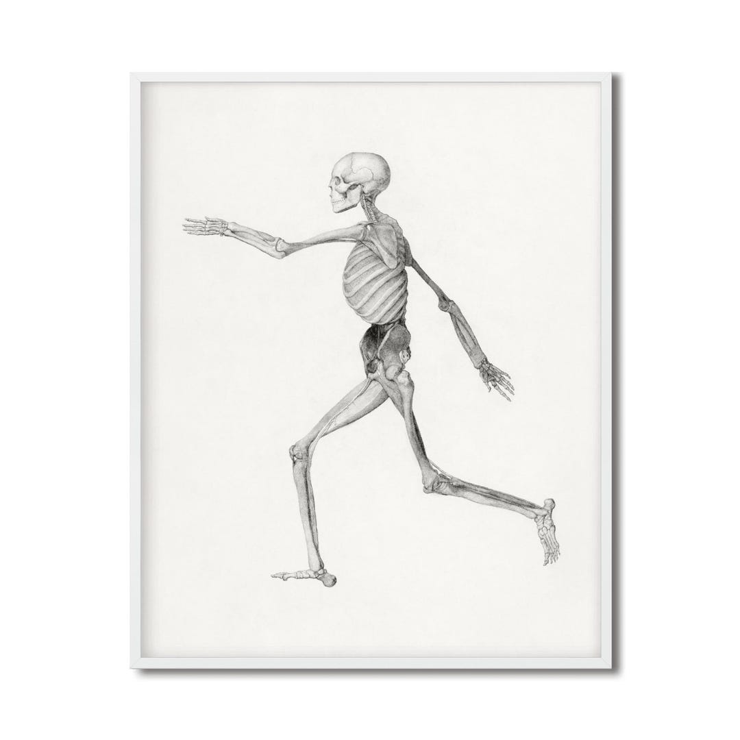 Vintage Anatomy Skeleton Drawing | Unique Skeleton Art | PRINTABLE ...