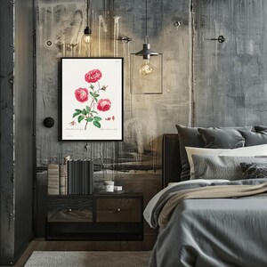 Vintage Botanical Illustration of Red Roses | Classic Floral Art ...