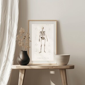 Vintage Human Skeleton Anatomy | Medical Illustration | PRINTABLE ...
