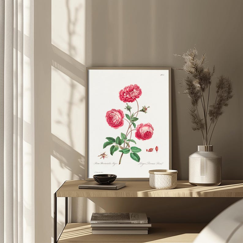Vintage Botanical Illustration of Red Roses | Classic Floral Art ...